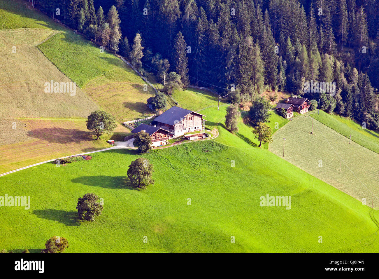 Mountain farm on the steep slope Stock Photo - Alamy