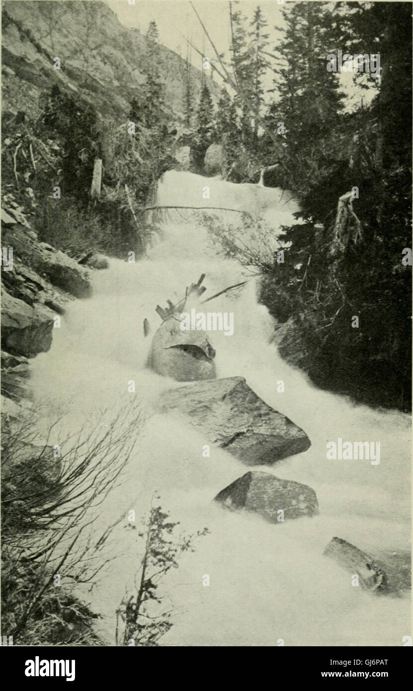 'The Awakening of the Desert' (1912) explores the transformation of ...