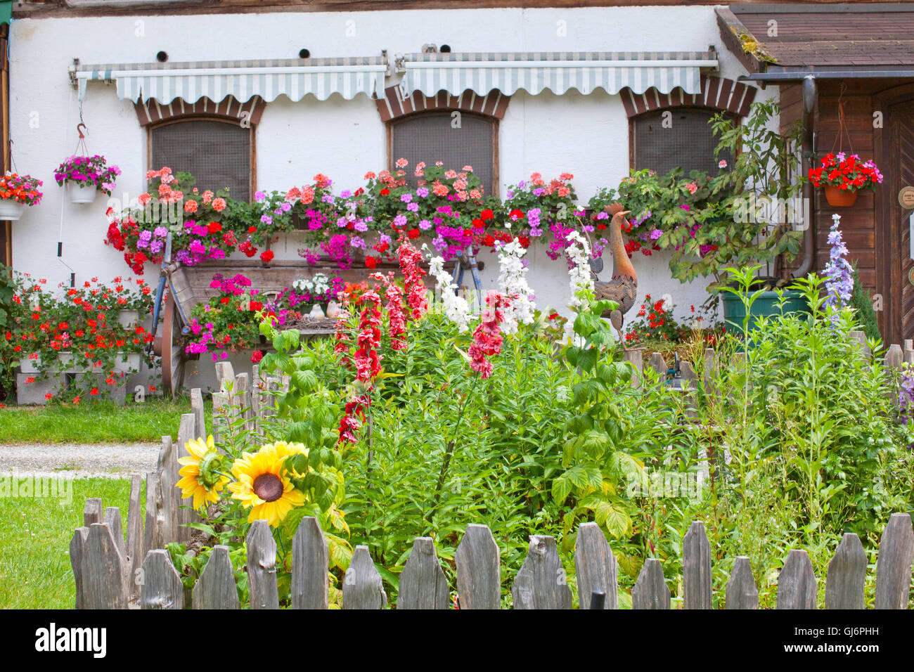Floral decoration at farm hi-res stock photography and images - Alamy