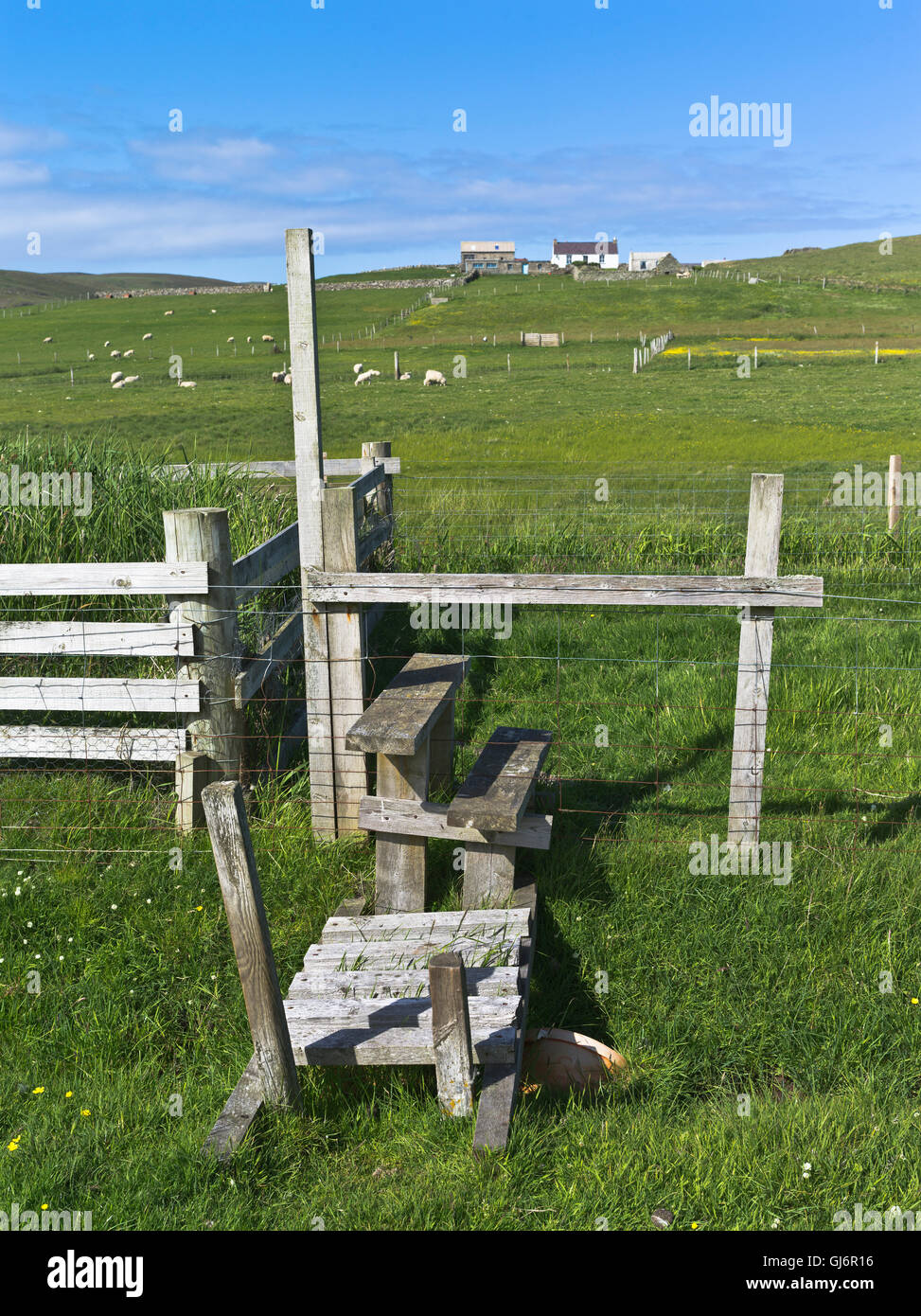 dh FAIR ISLE SHETLAND Footpath stile over field fence Stock Photo - Alamy
