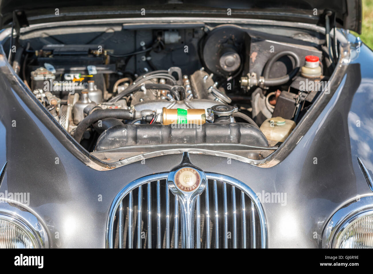 Breuberg, Hessen, Germany, engine of a Jaguar MK 2, year of manufacture ...