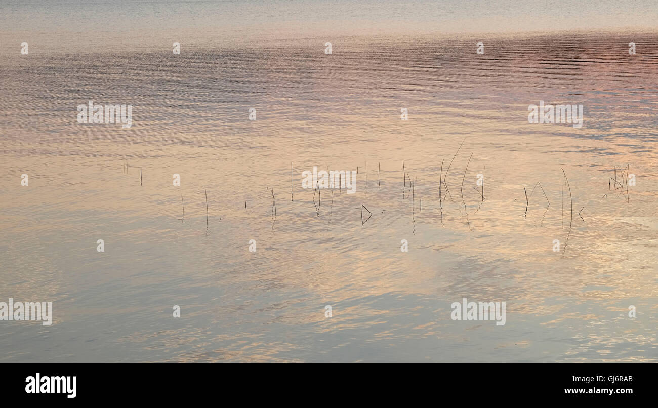 Buckow brandenburg germany hi-res stock photography and images - Alamy