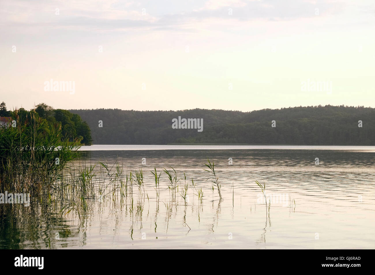 Buckow lake hi-res stock photography and images - Alamy