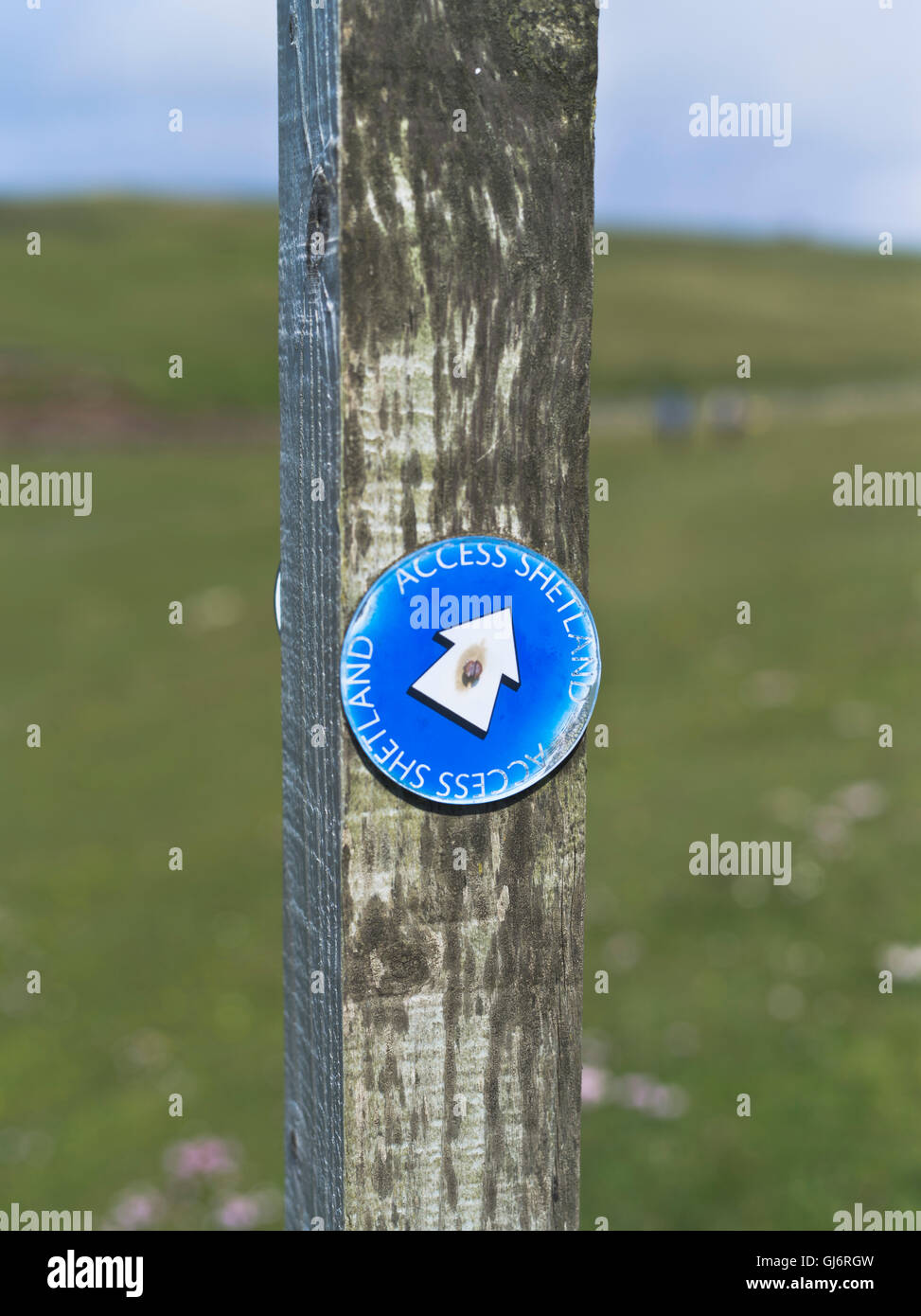 dh Footpath ESHANESS SHETLAND Shetland Access sign logo on footpath ...