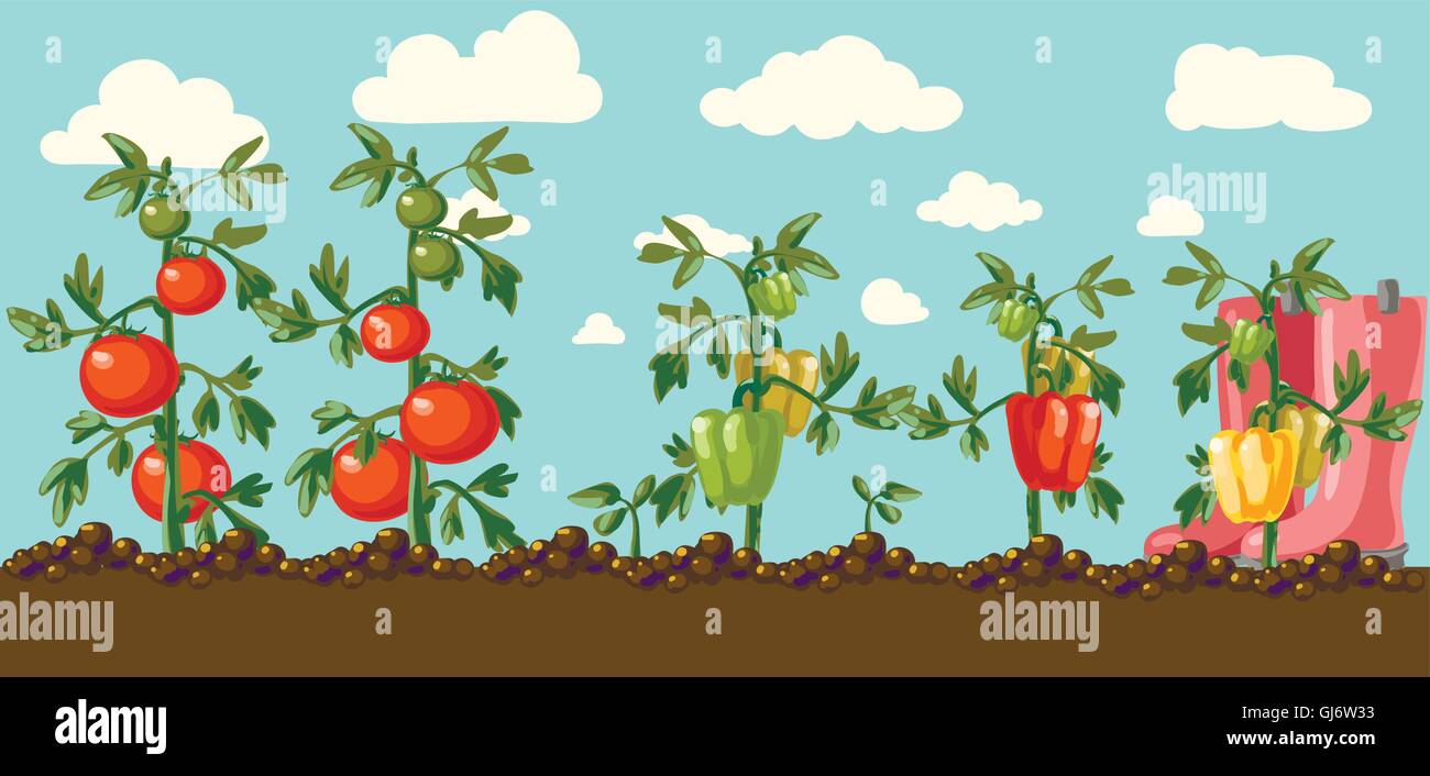 Fruit and vegetable garden Stock Vector Images - Alamy