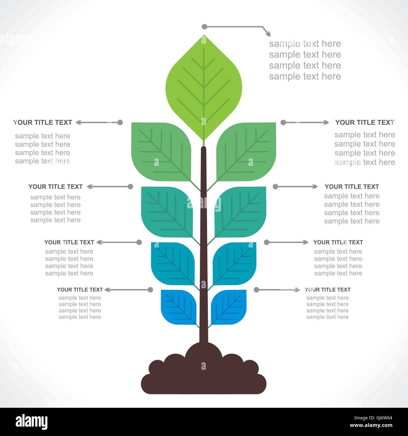 tree creative info-graphics concept vector Stock Vector Image & Art - Alamy
