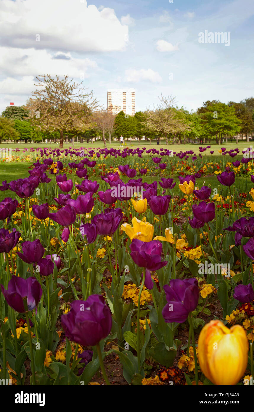 Great Britain, London, park, grass, garden, garden architecture Stock ...