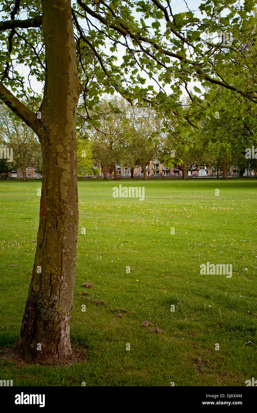 Great Britain, London, park, grass, garden, garden architecture Stock ...