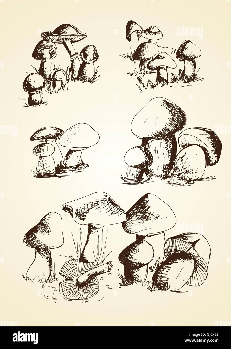 Mushrooms icon outline black Stock Vector Images - Alamy