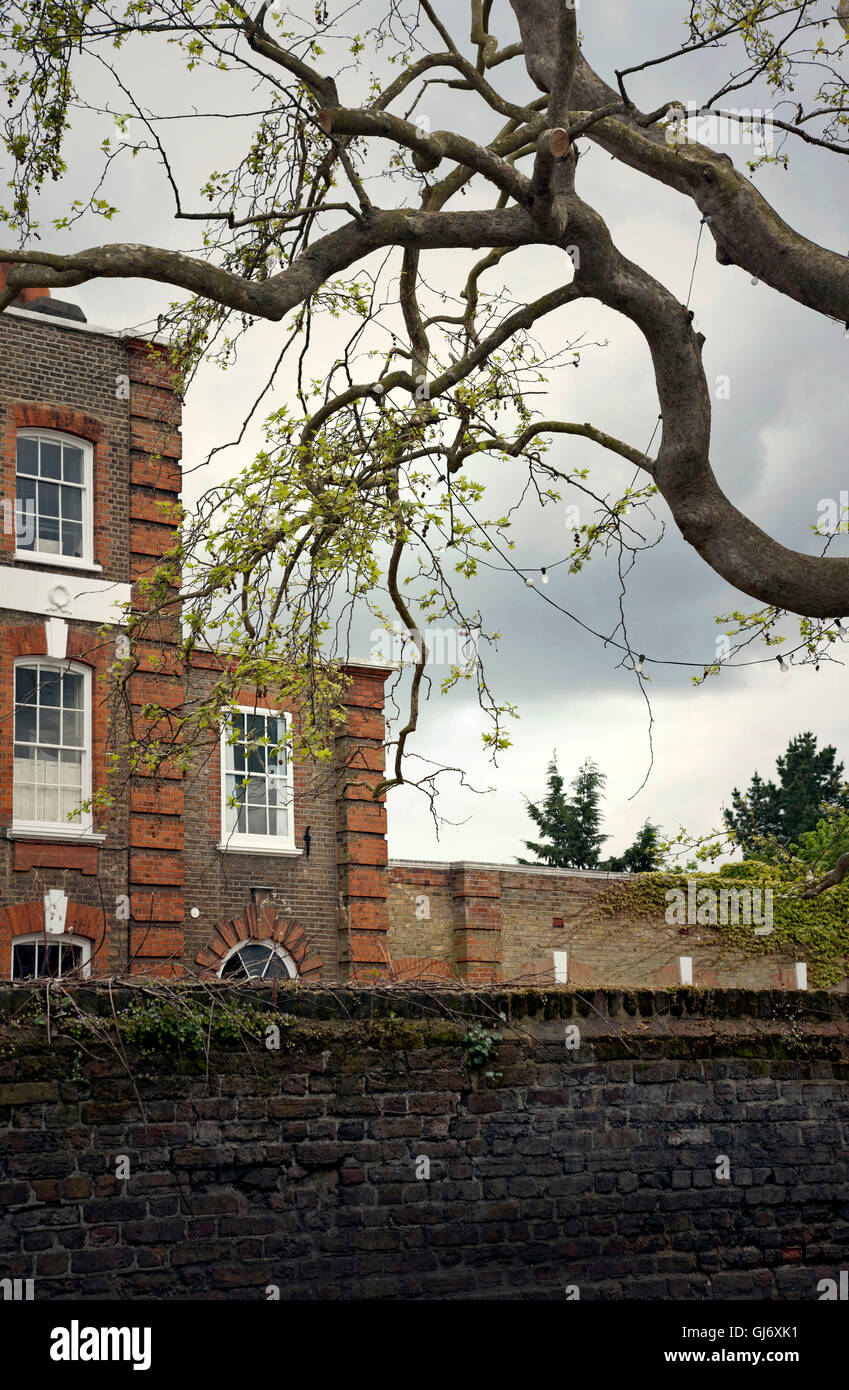 Great Britain, London, tree, house, spring, architecture Stock Photo ...