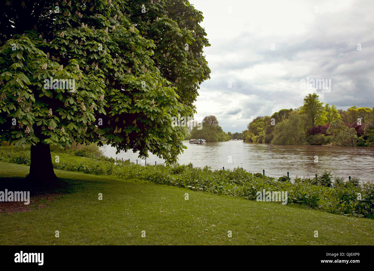 Great Britain, London, nature, river, the Thames, boats, spring Stock ...