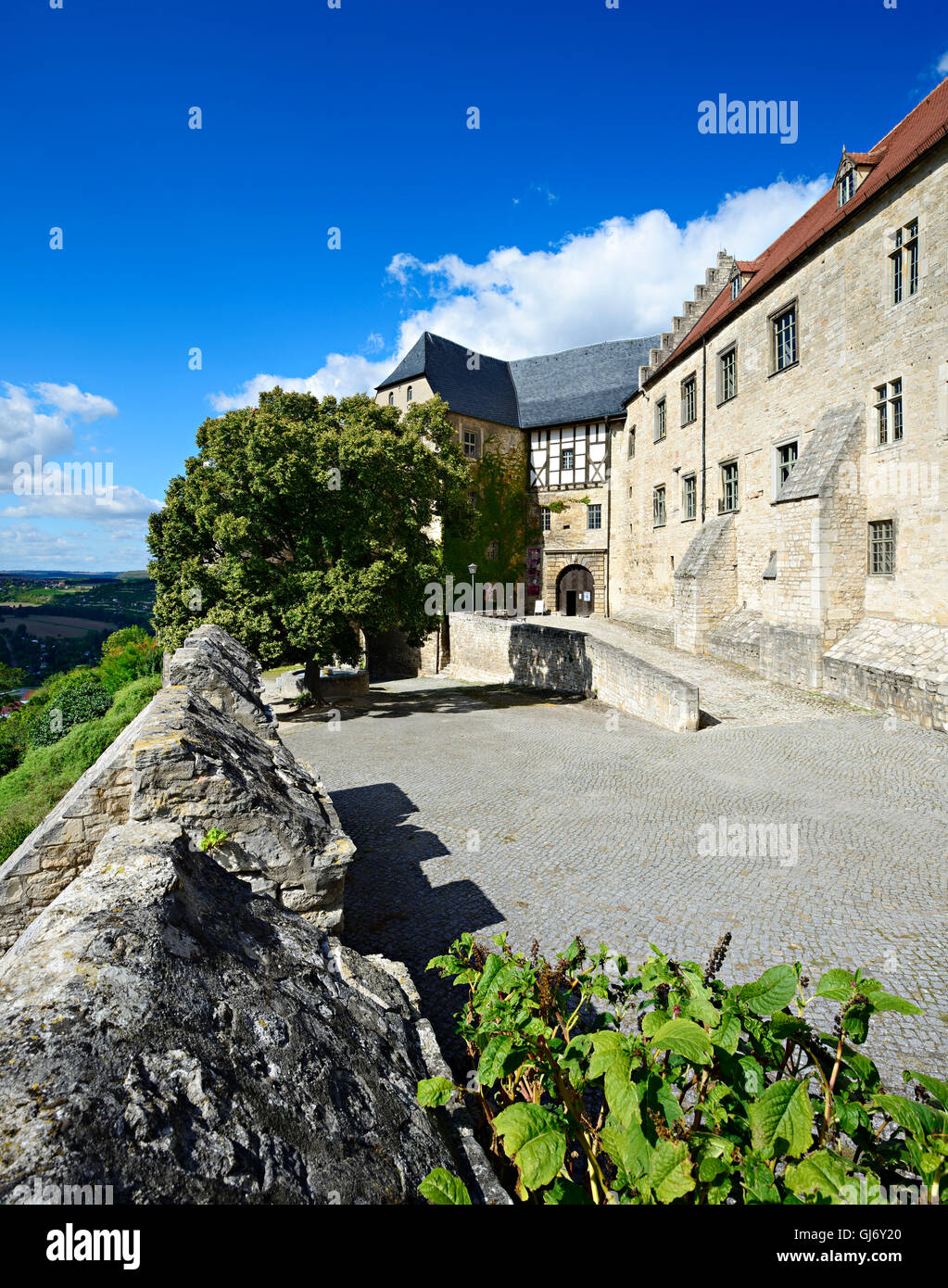 Germany, Saxony-Anhalt, Burgenlandkreis, Freyburg (Unstrut), castle ...