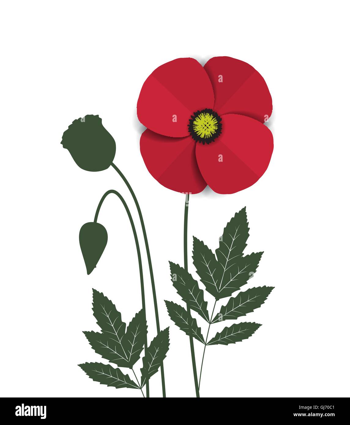 Beautiful petal red poppy Stock Vector Images - Alamy