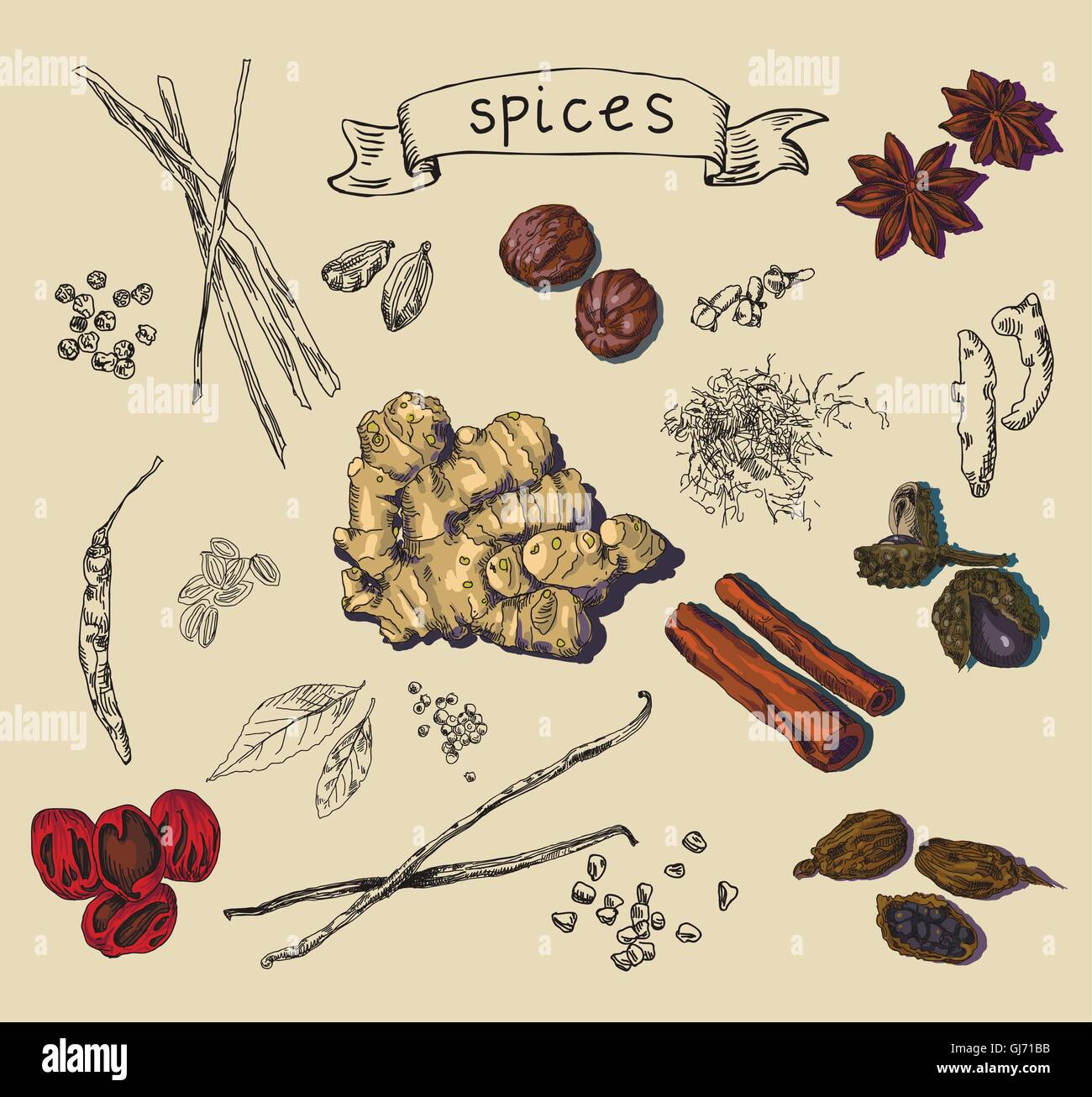 Vector background with hand drawn spices Stock Vector Image & Art - Alamy