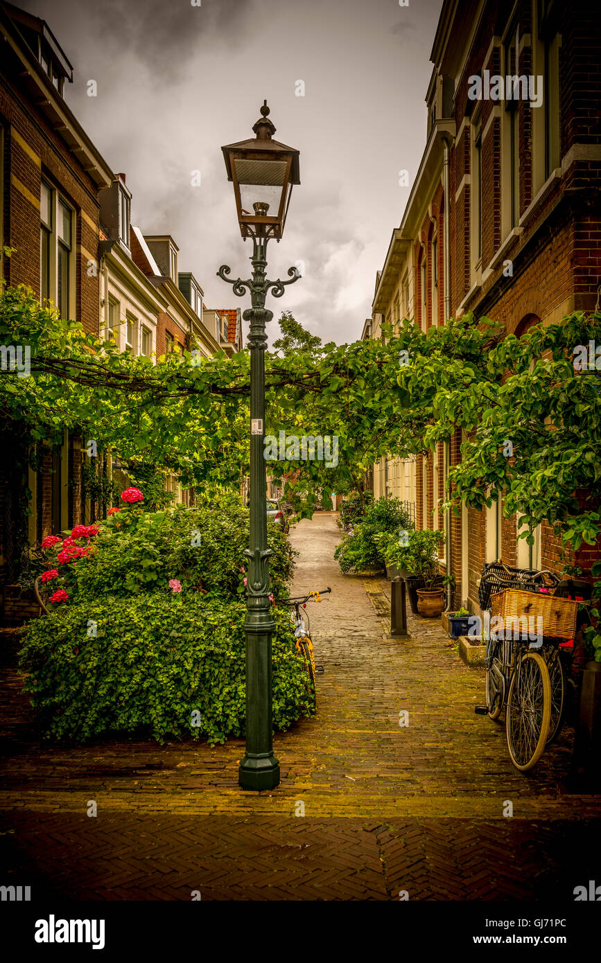 The Netherlands, Haarlem, street, lane Stock Photo - Alamy