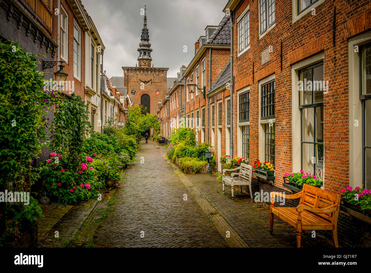 The Netherlands, Haarlem, street, lane Stock Photo - Alamy