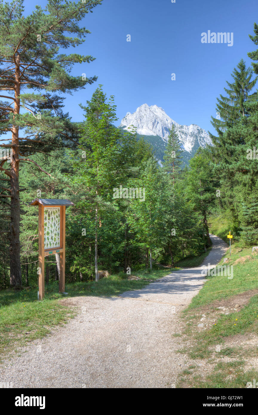 Educational forest trail in Mittenwald, summer, Bavaria, Upper Bavaria ...