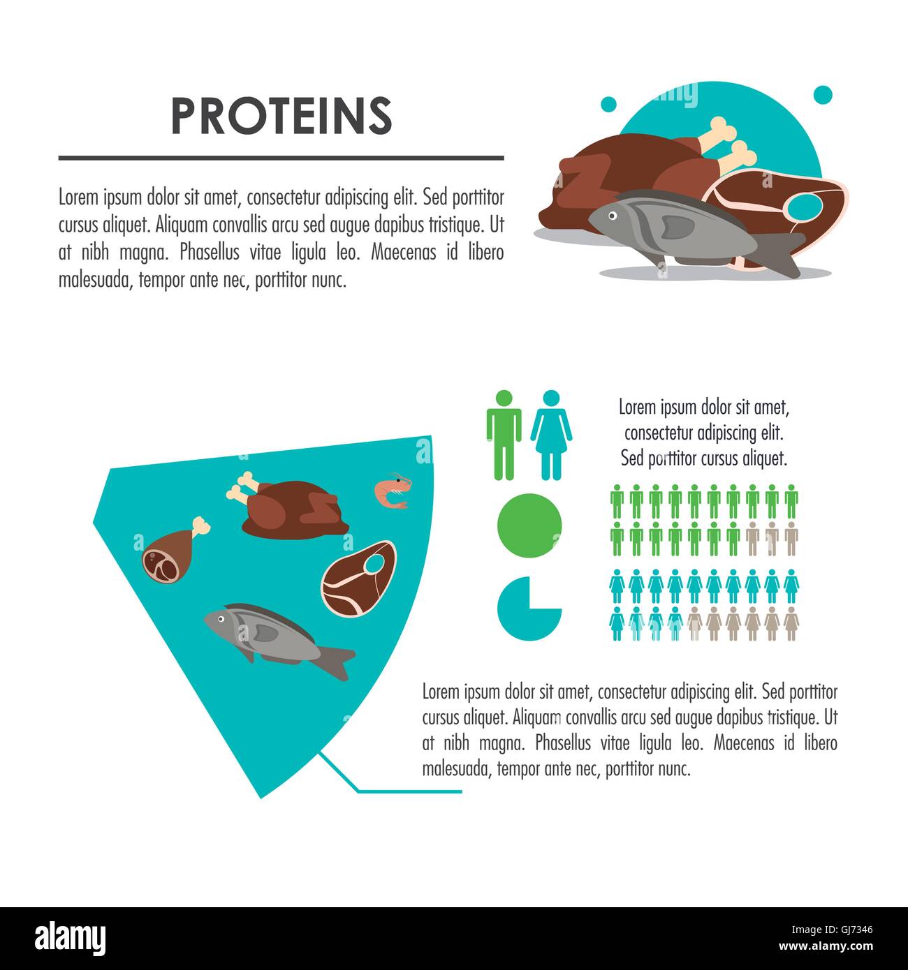 Nutritional information infographic Cut Out Stock Images & Pictures - Alamy