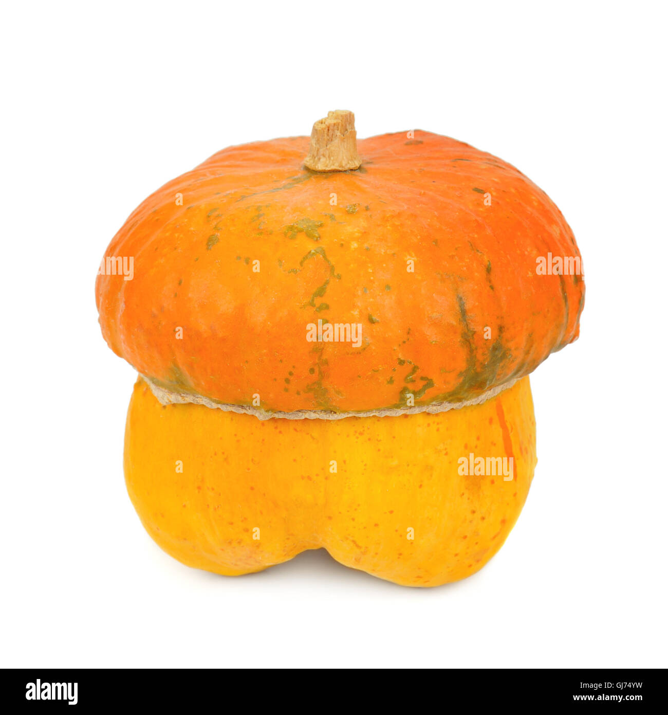 ripe pumpkin isolated on white background Stock Photo - Alamy