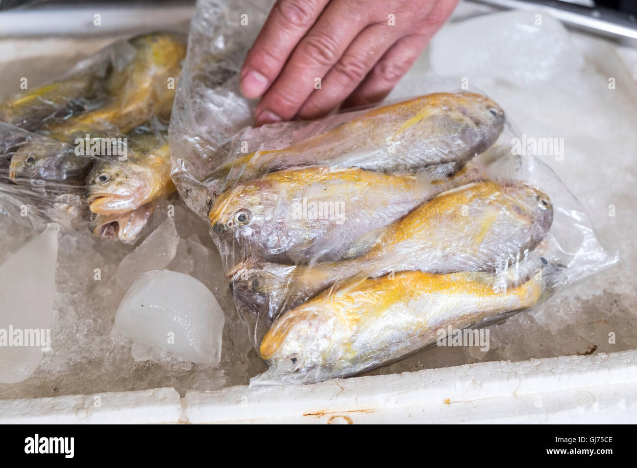 Zhenru fish market in Shanghai Stock Photo - Alamy