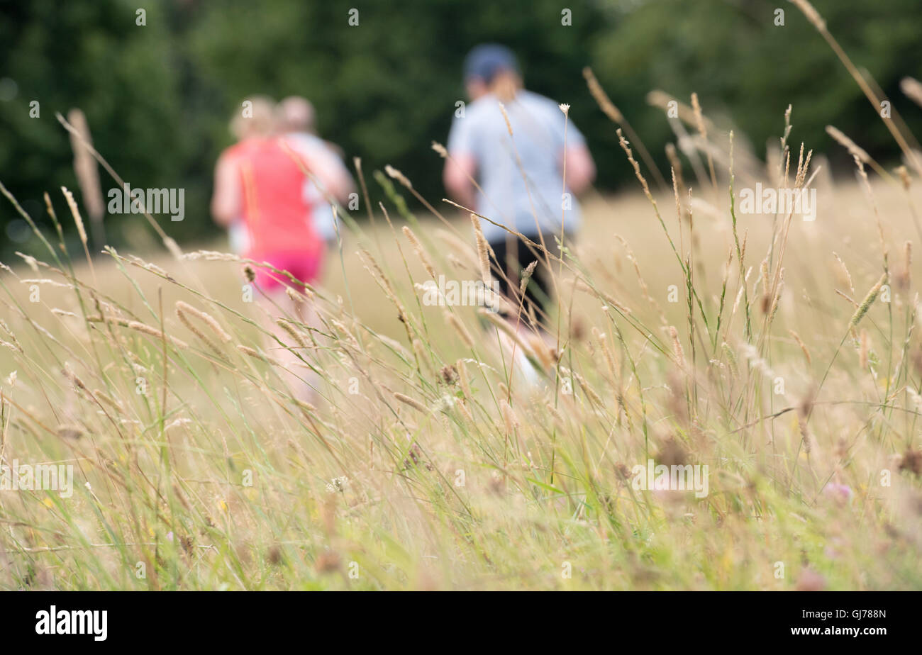 Runners through grass Stock Photo - Alamy