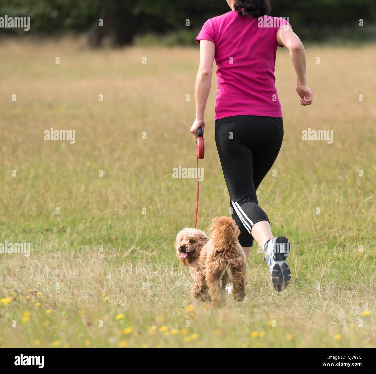 Muscular legs woman running hi-res stock photography and images - Alamy