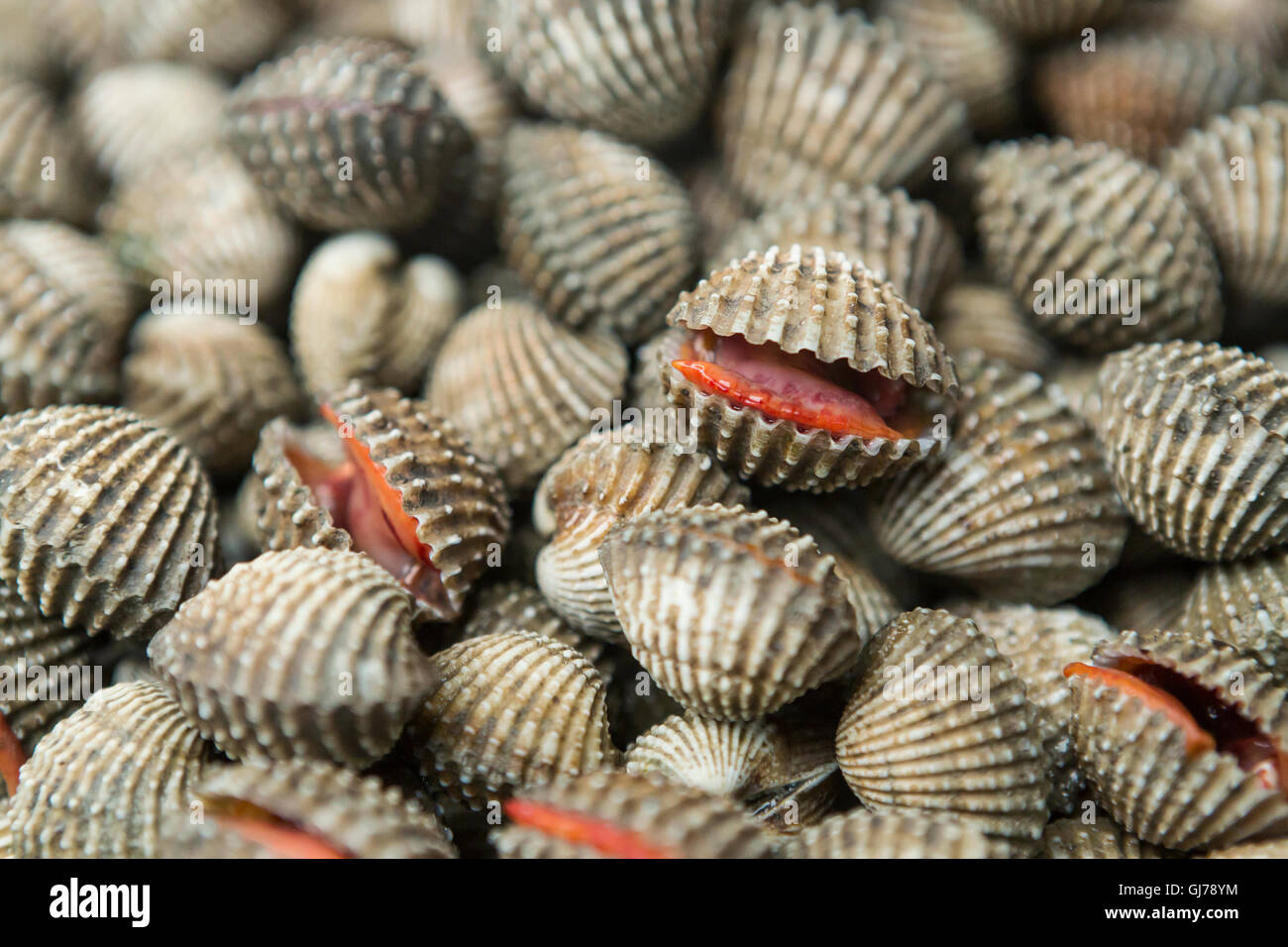 Focus muscle hi-res stock photography and images - Alamy