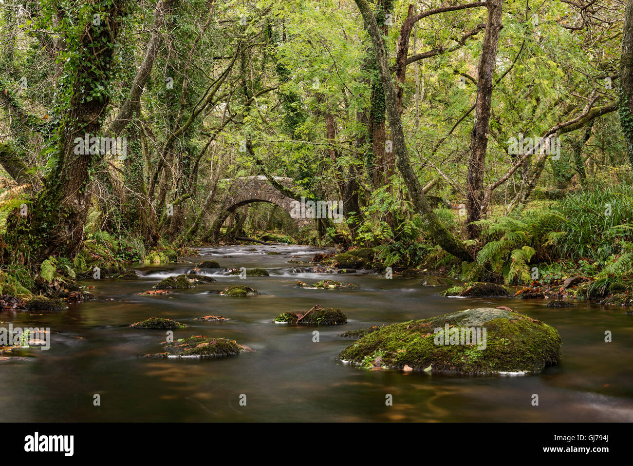 Higher Bridge High Resolution Stock Photography and Images - Alamy