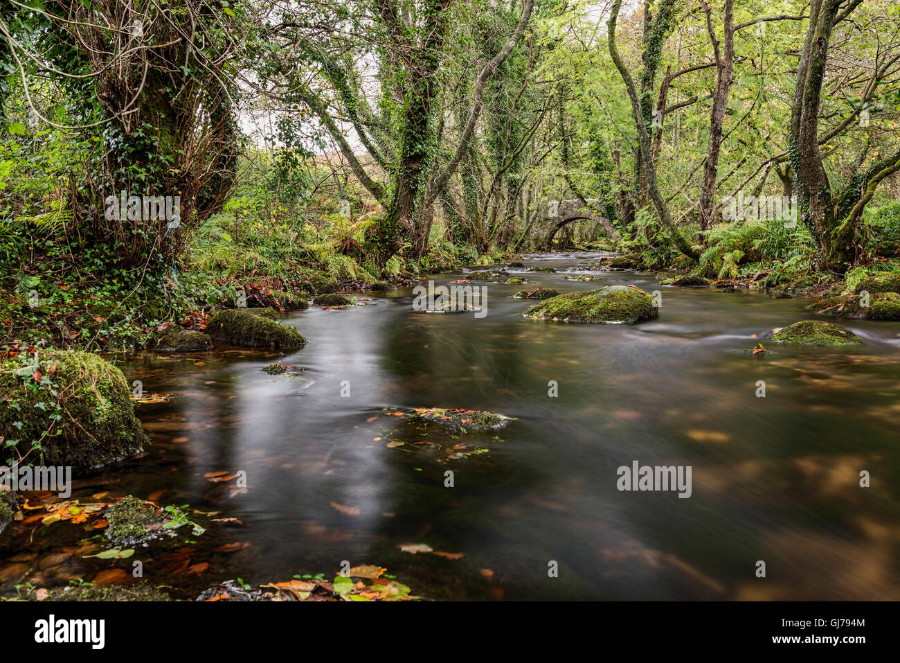 Meavy bridge hi-res stock photography and images - Alamy