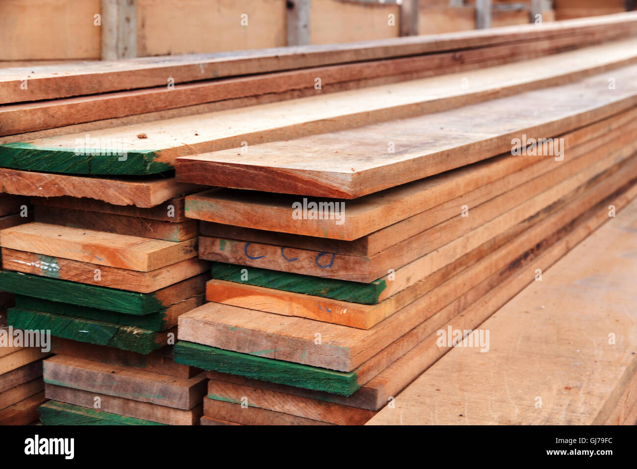 cut timber wood pile a sheet in the area for construction Stock Photo ...