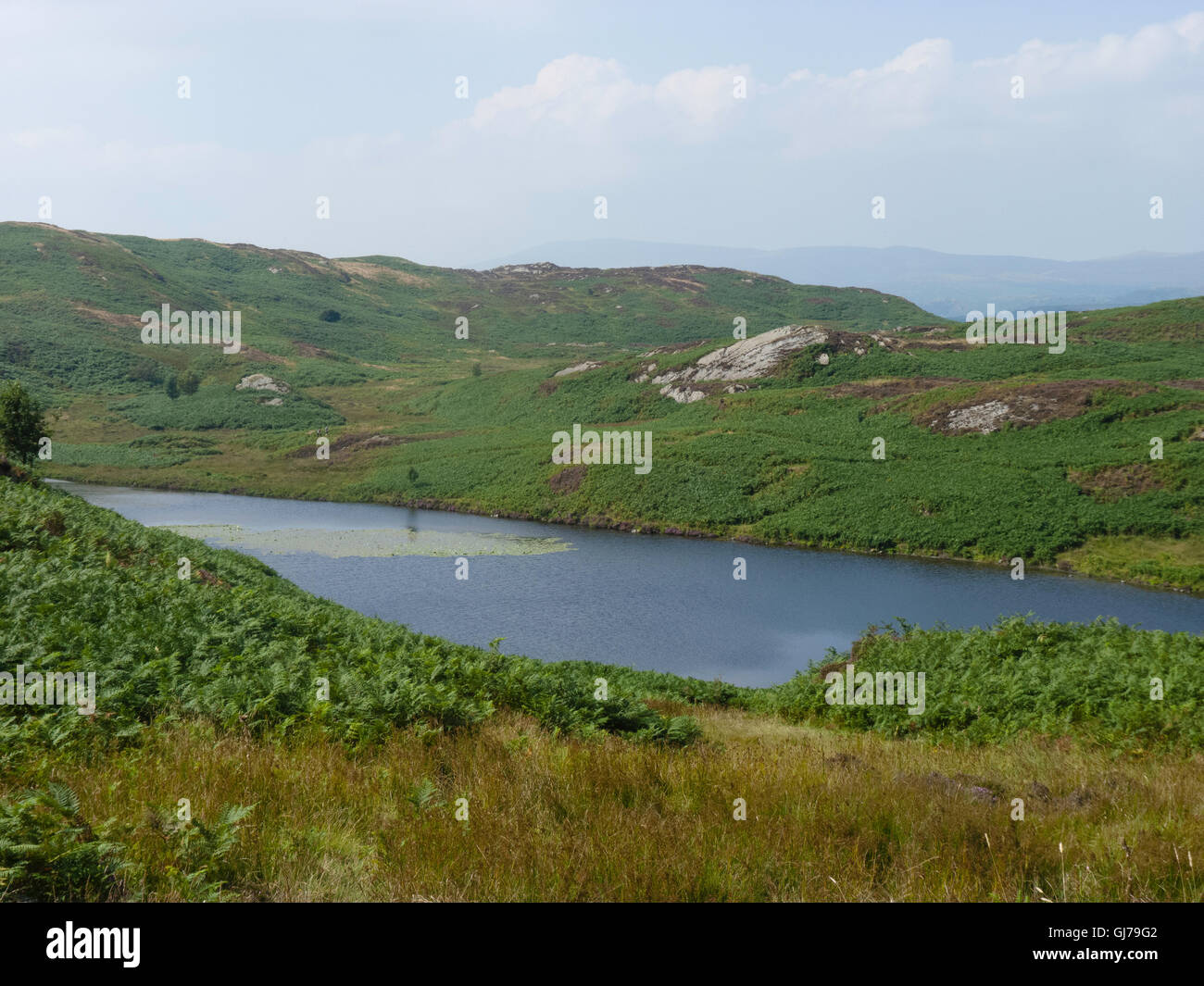 Beacon tarn lake district hi-res stock photography and images - Alamy