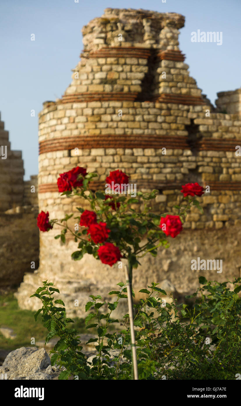 Red brick wall with flowers hi-res stock photography and images - Alamy