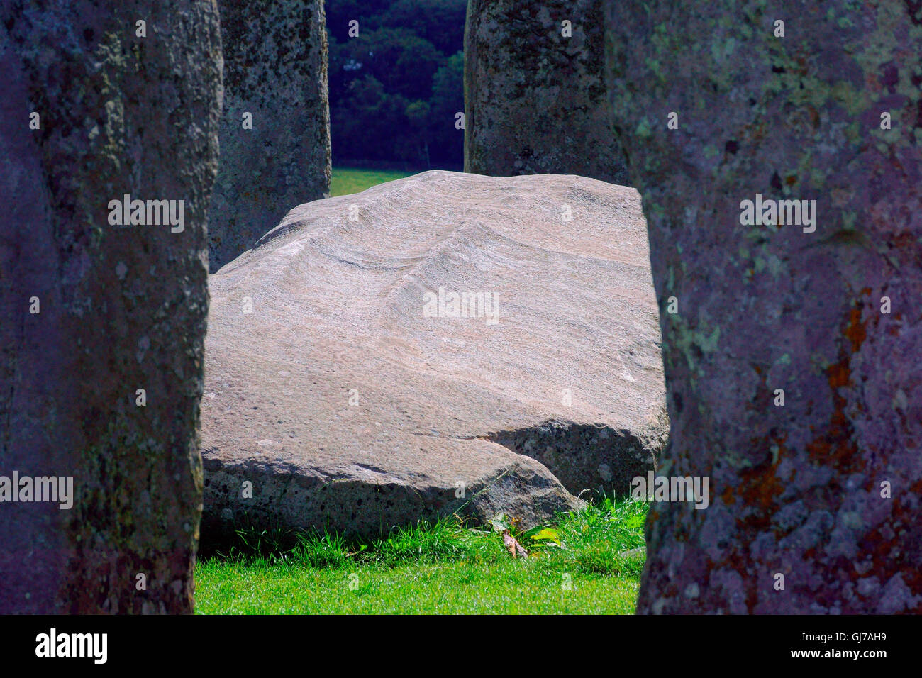 LOOKIN AT A FALLEN STONE THROUGH THE BLUE STONES Stock Photo - Alamy