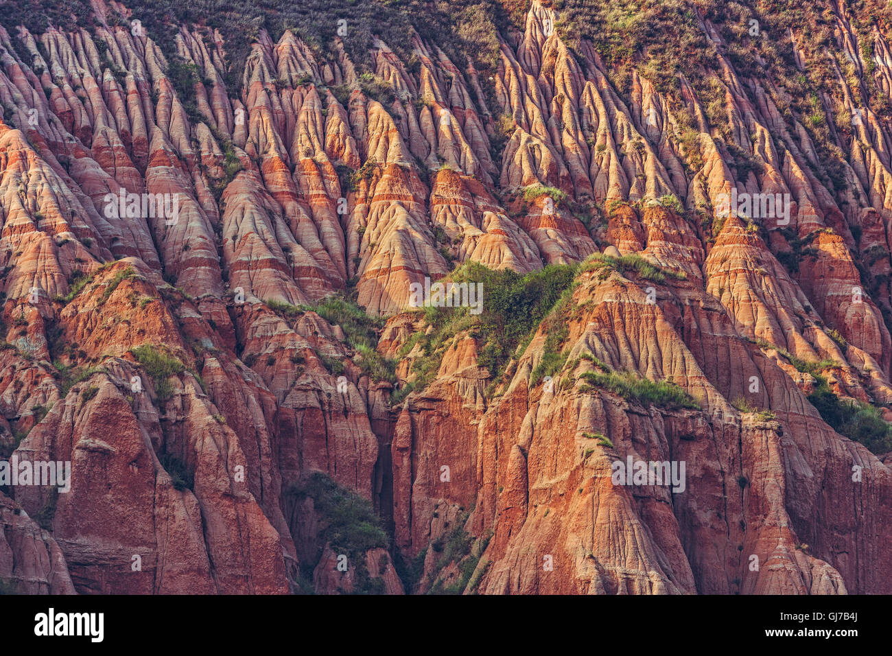 Rapa Rosie (Red Ravine) Nature Reserve, a Romanian national geological ...