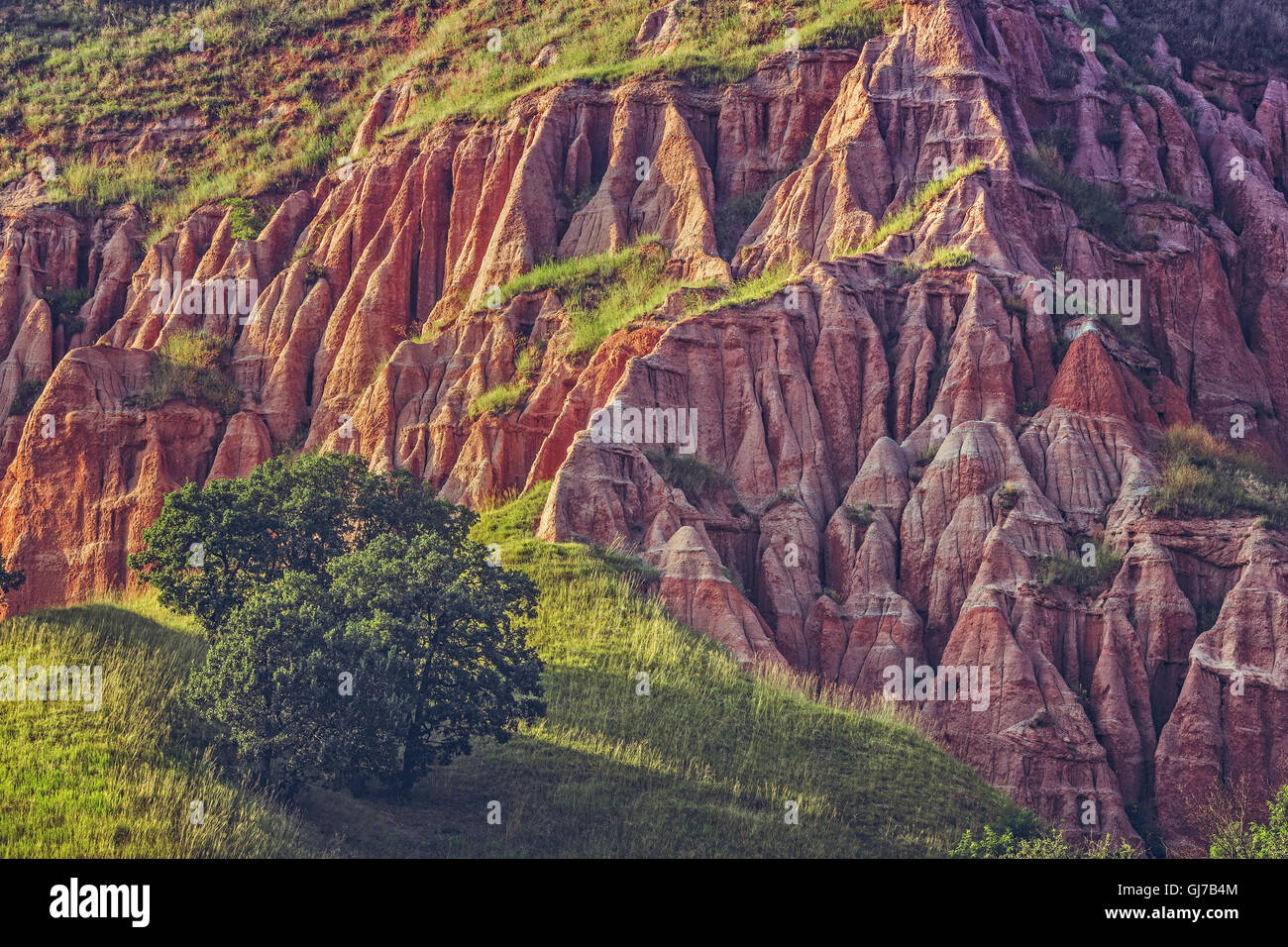 Majestic reddish cliff of the Red Ravine, a unique natural monument ...