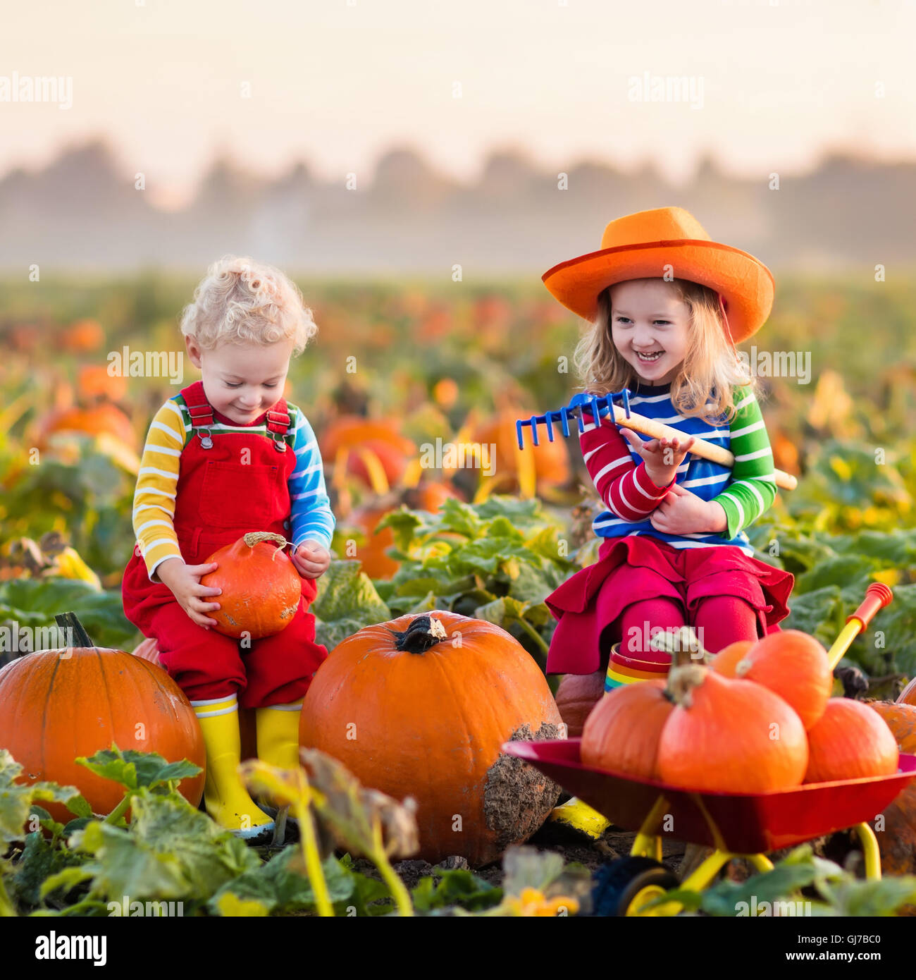Little girl and boy picking pumpkins on Halloween pumpkin patch ...