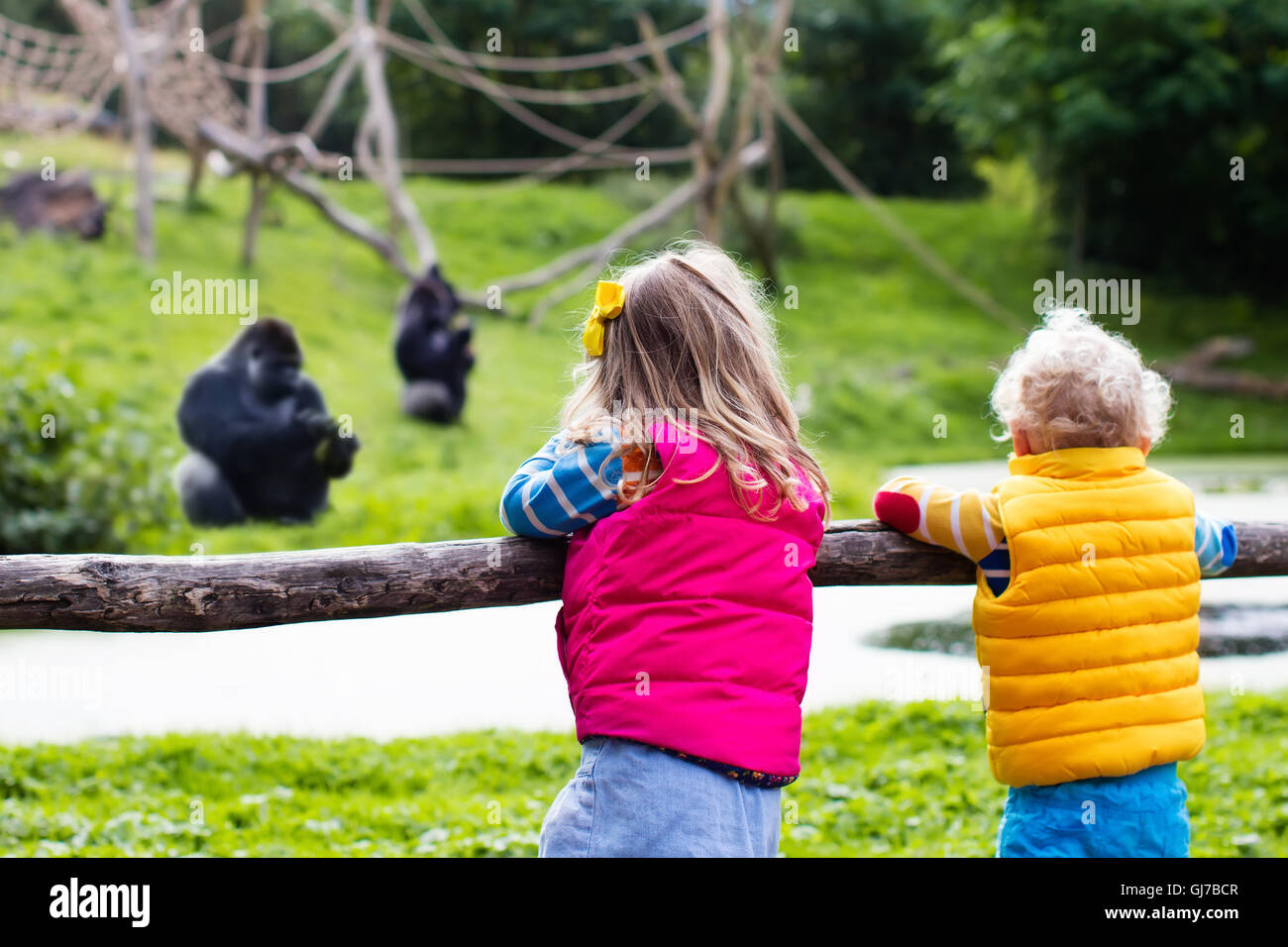 Two little kids, boy and girl, watch monkey show in the zoo on a cold ...