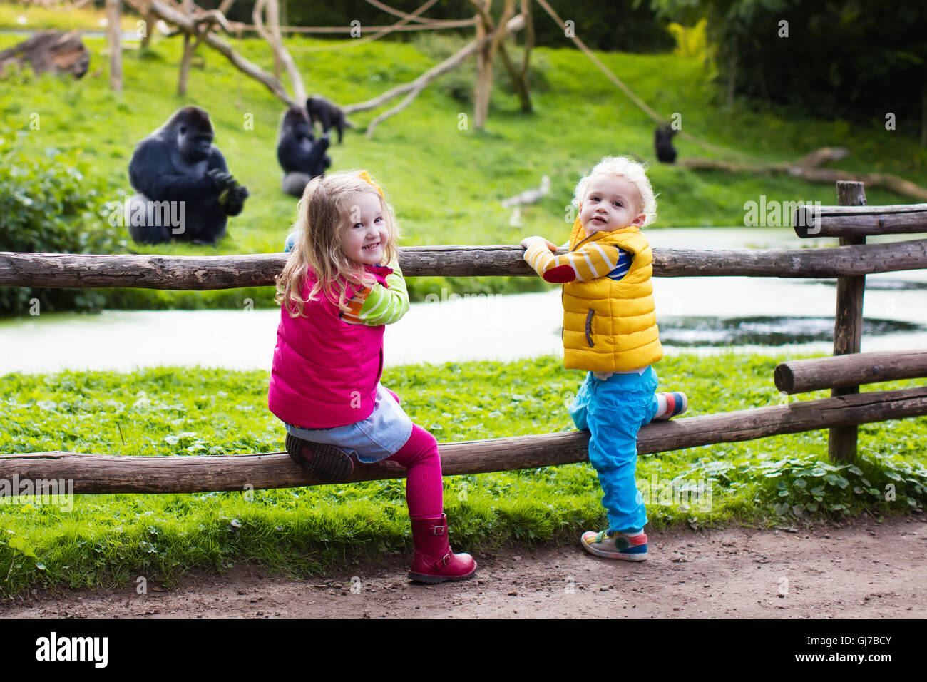 Two little kids, boy and girl, watch monkey show in the zoo on a cold ...