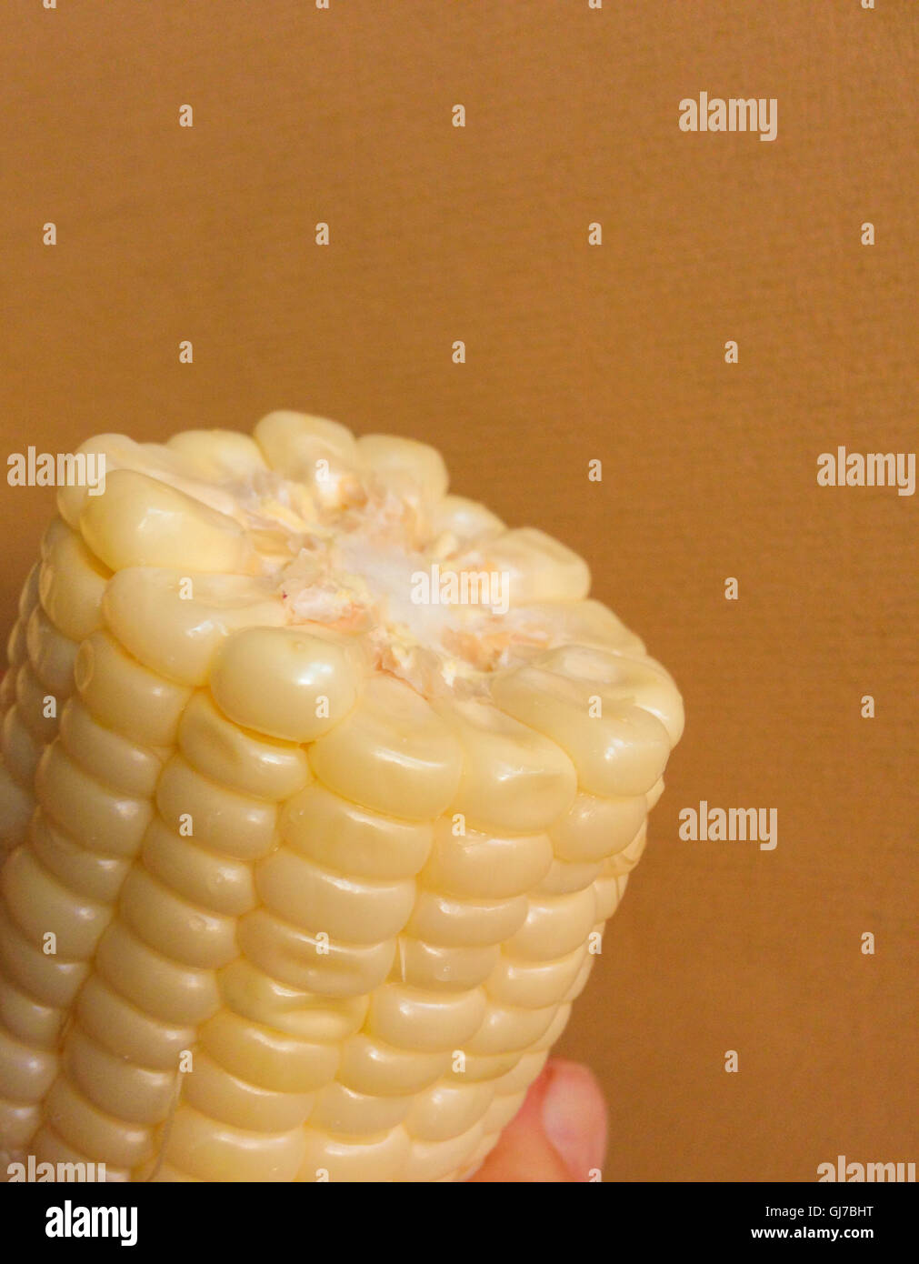 Hand holding half of fresh corn cob on beige background Stock Photo - Alamy