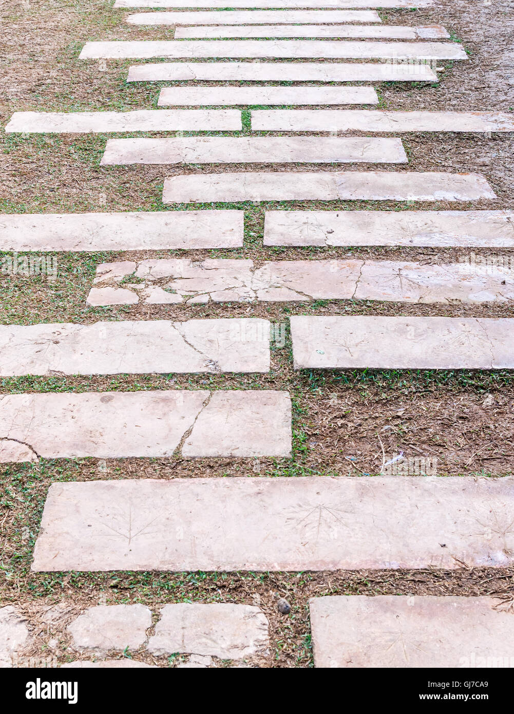 Leaves imprint on the sandstone block in the pathway of the city garden ...