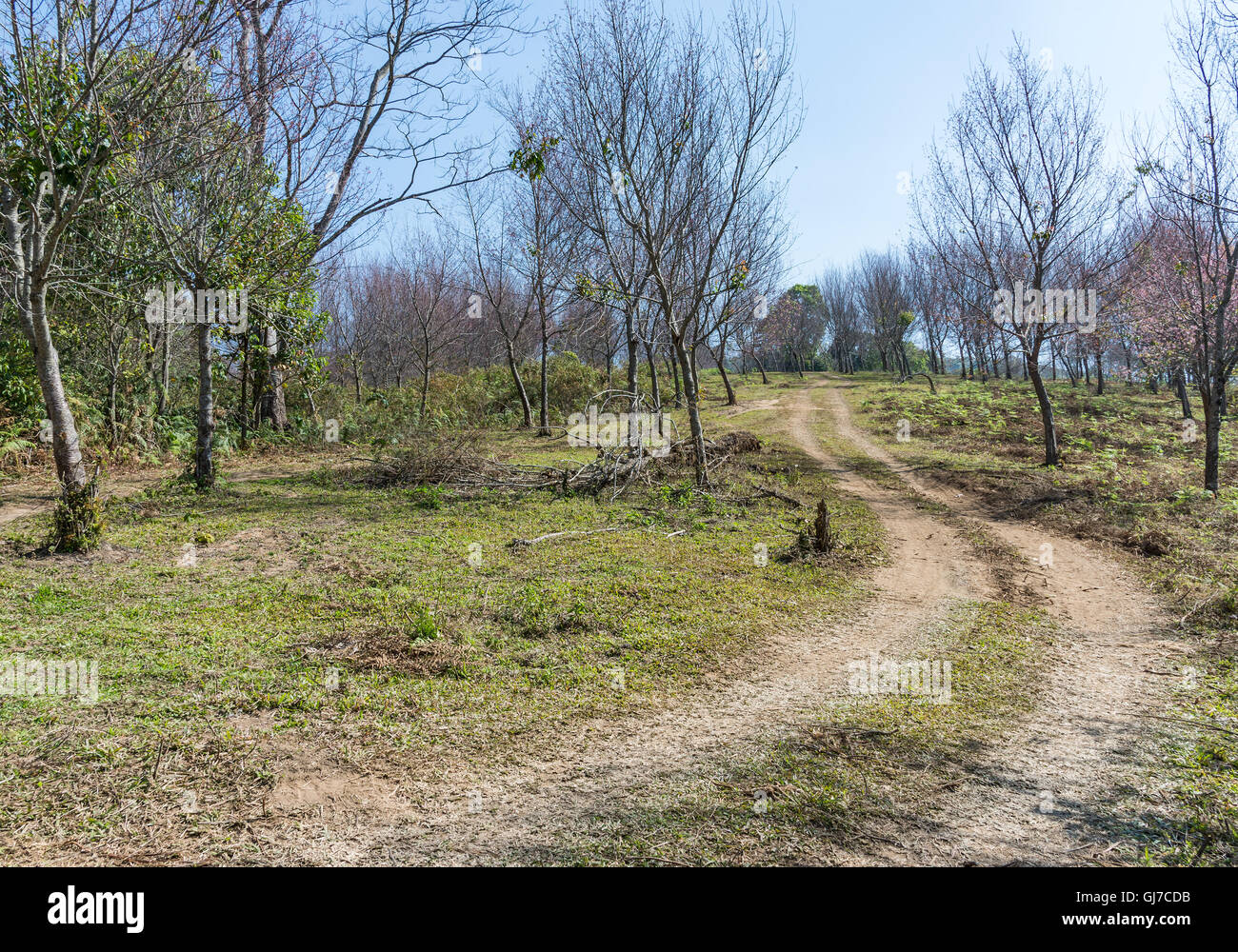 Slope steep road hi-res stock photography and images - Alamy
