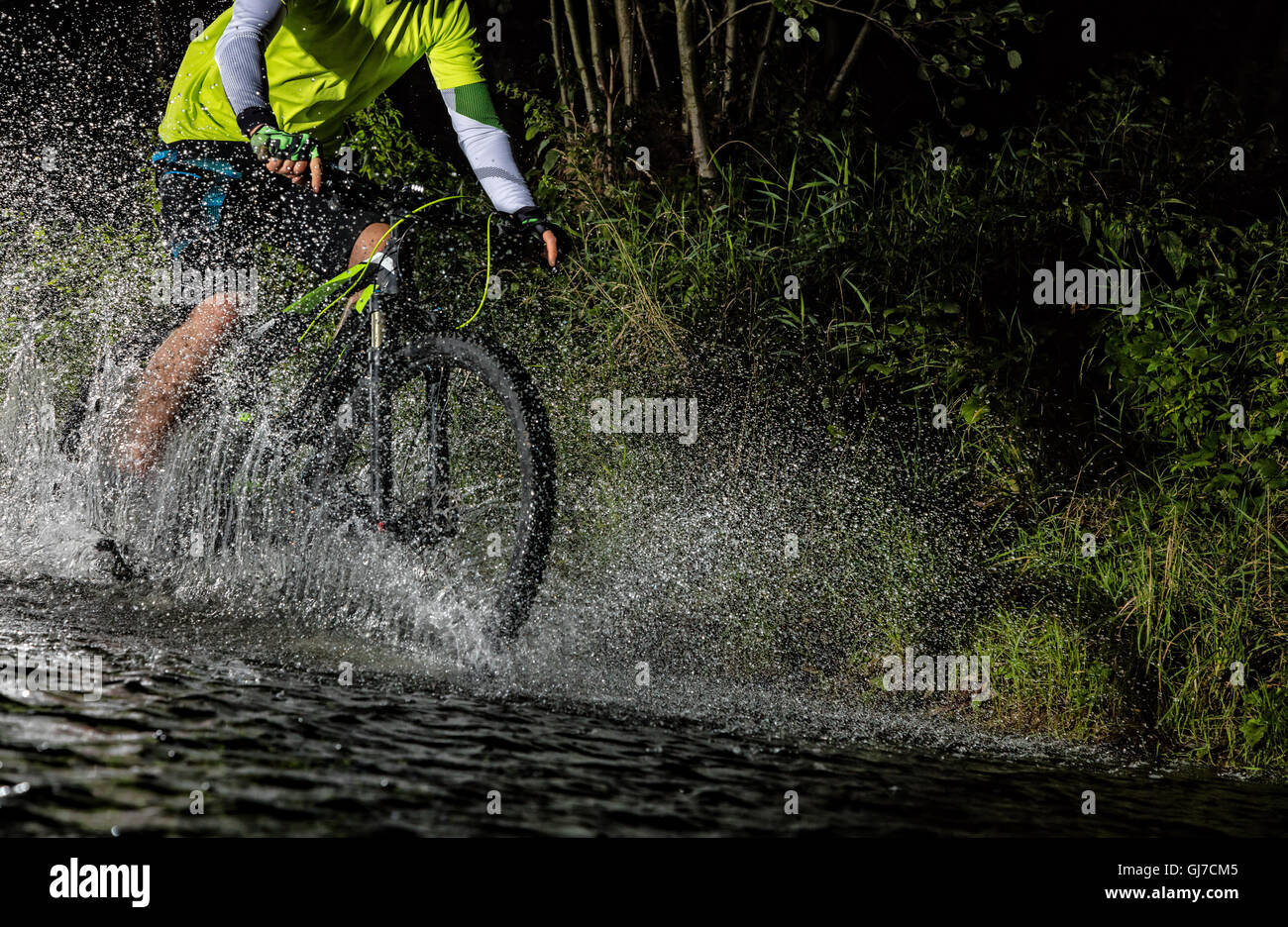 Mountain biker riding in forest stream, splashing water around Stock ...