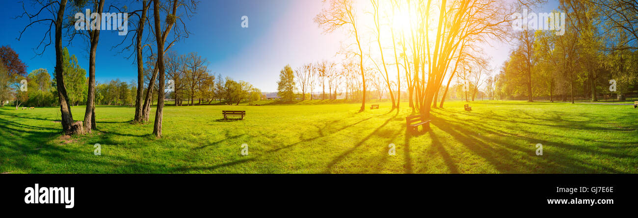 Beautiful spring morning sunny hi-res stock photography and images - Alamy