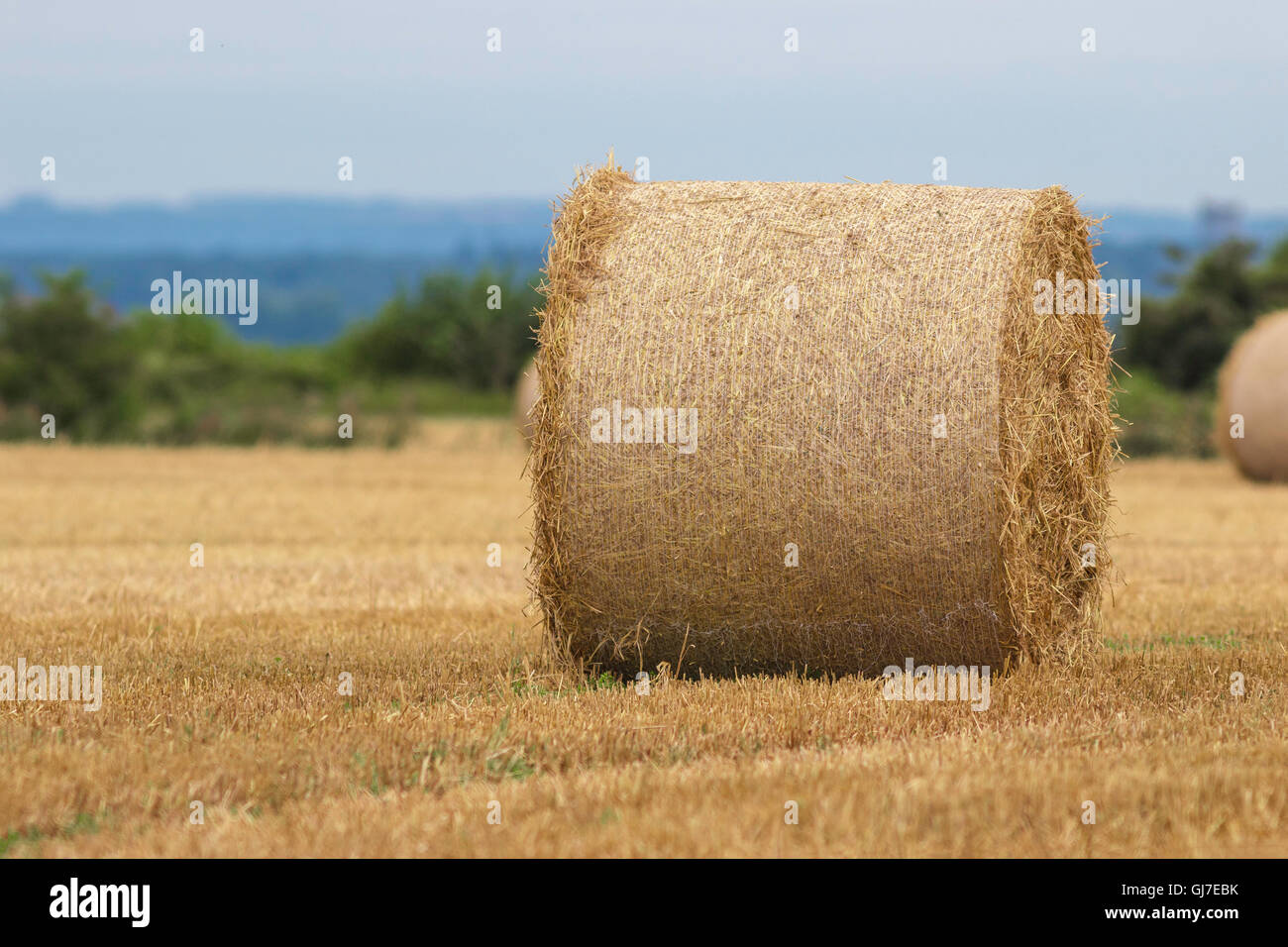 Hay bale with Copy Space Stock Photo - Alamy