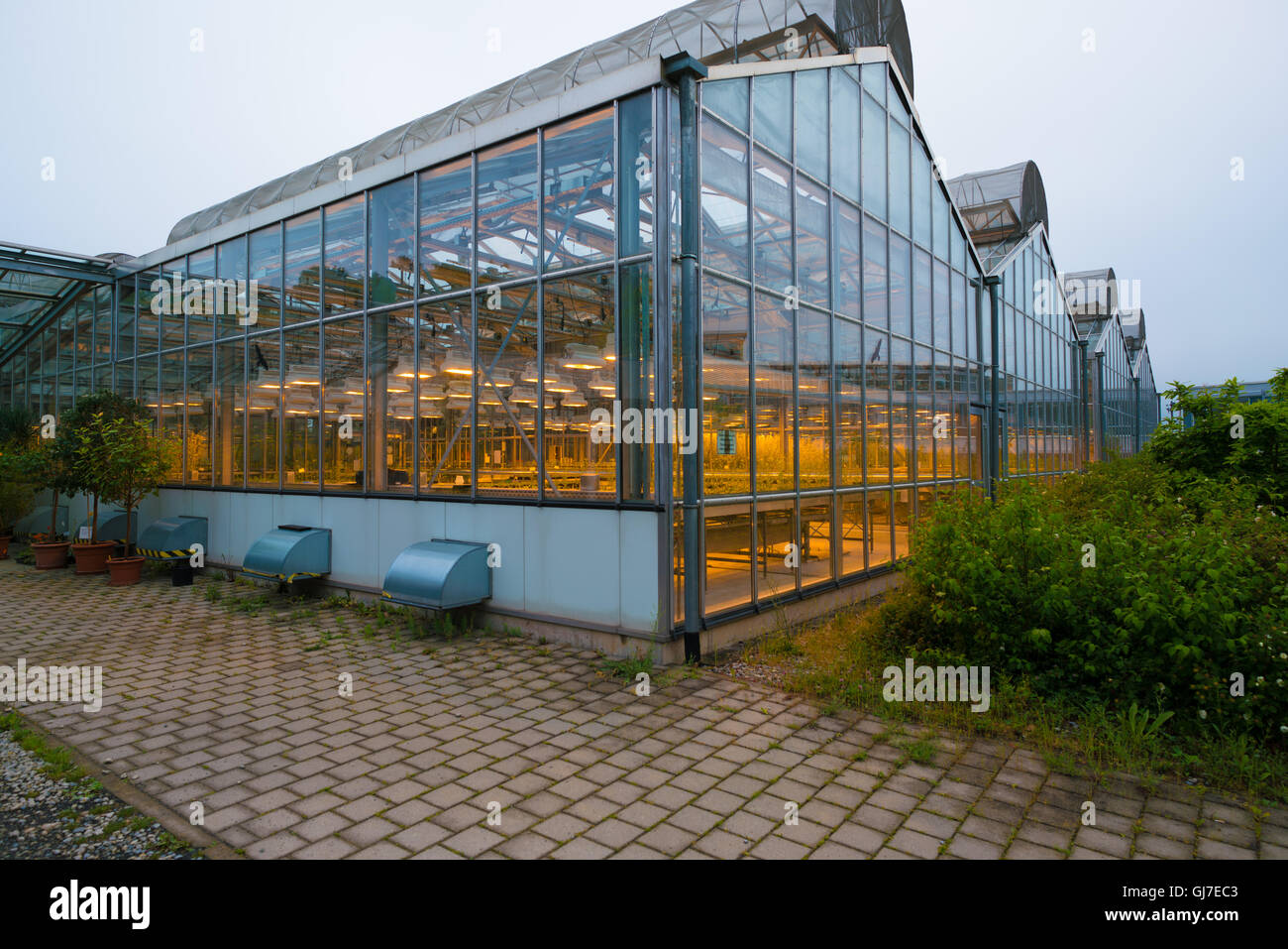 JENA, GERMANY - MAY, 29, 2016: Glasshouse plant on Beutenberg Campus in ... JENA, GERMANY - MAY, 29, 2016: Glasshouse plant on Beutenberg Campus in ...