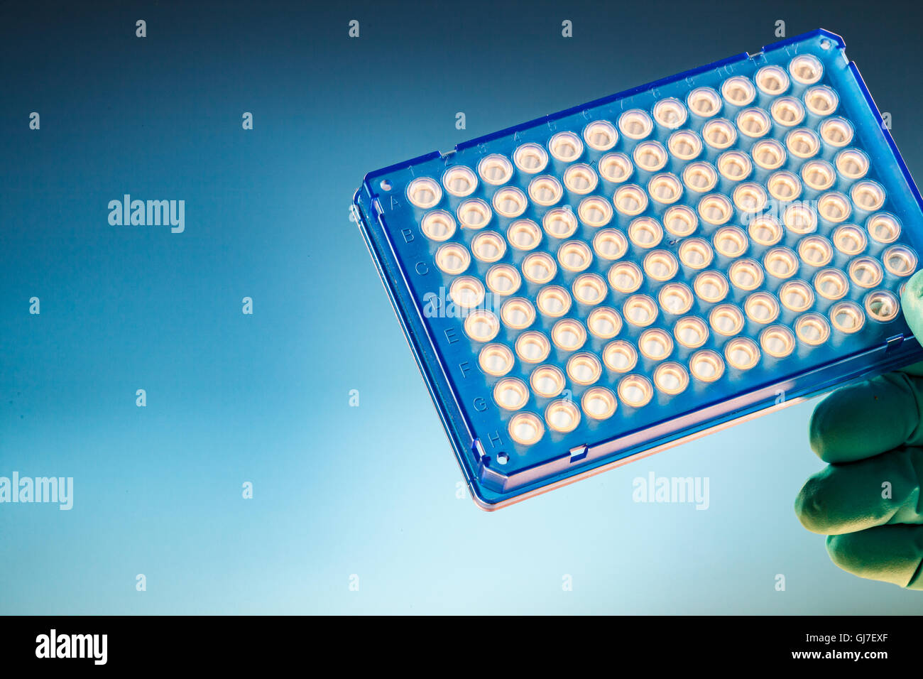 96 well plate hi-res stock photography and images - Alamy