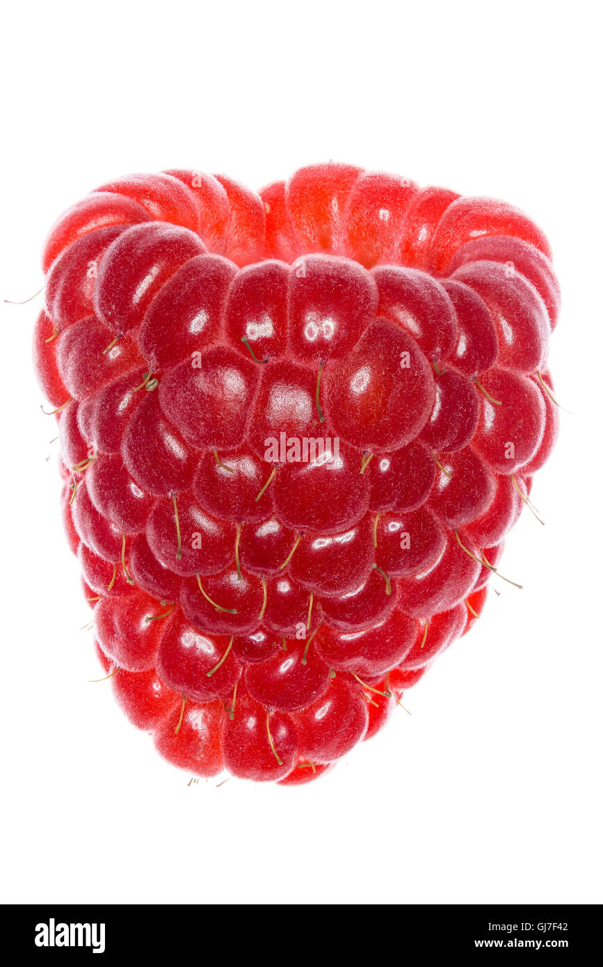 A closeup of a single raspberry on a white background Stock Photo - Alamy