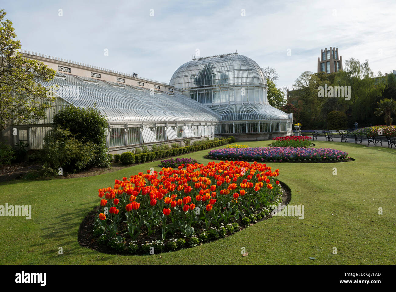 The Belfast Botanic Gardens in the Queen's Quarter, Belfast Stock Photo ...