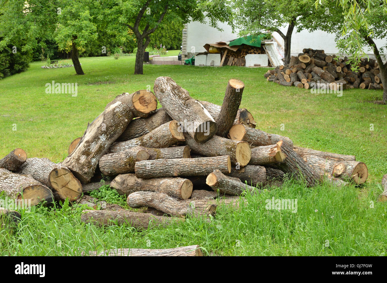 Pile of cut logs on a house lawn Stock Photo - Alamy