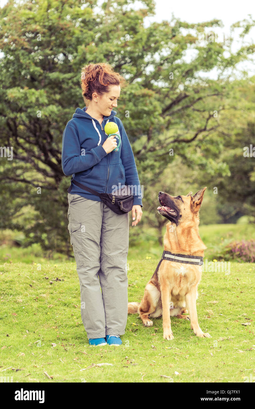 woman dog trainer and dog in park training session Stock Photo - Alamy